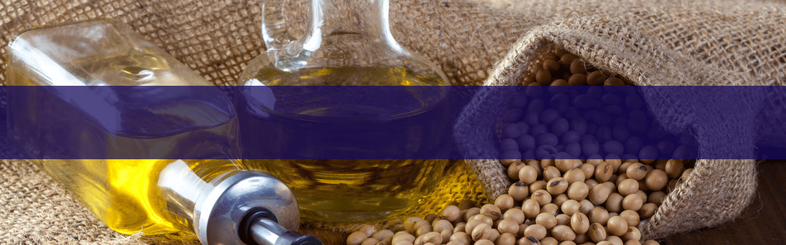 Soybean Oil - American International Ingredients, Inc.