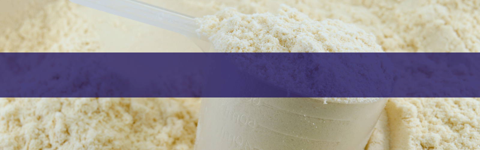 Milk Protein Concentrate - American International Ingredients